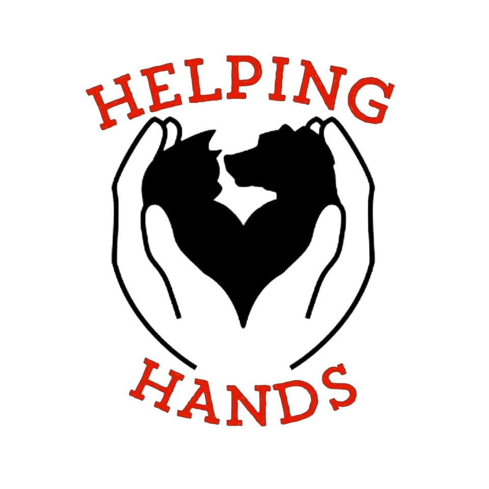 About Us | Todd Equipment, Inc. | Phoenix, AZ